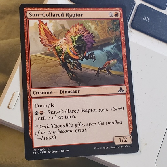 Other | Suncollared Raptor Magic Card | Poshmark